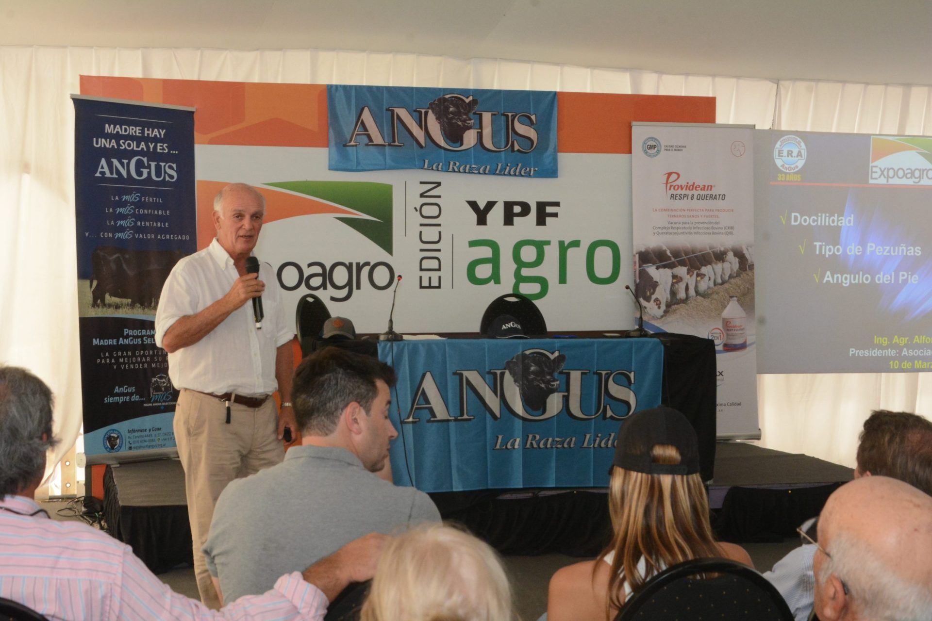 Angus pone foco en seleccionar animales con mayor docilidad y producir ...